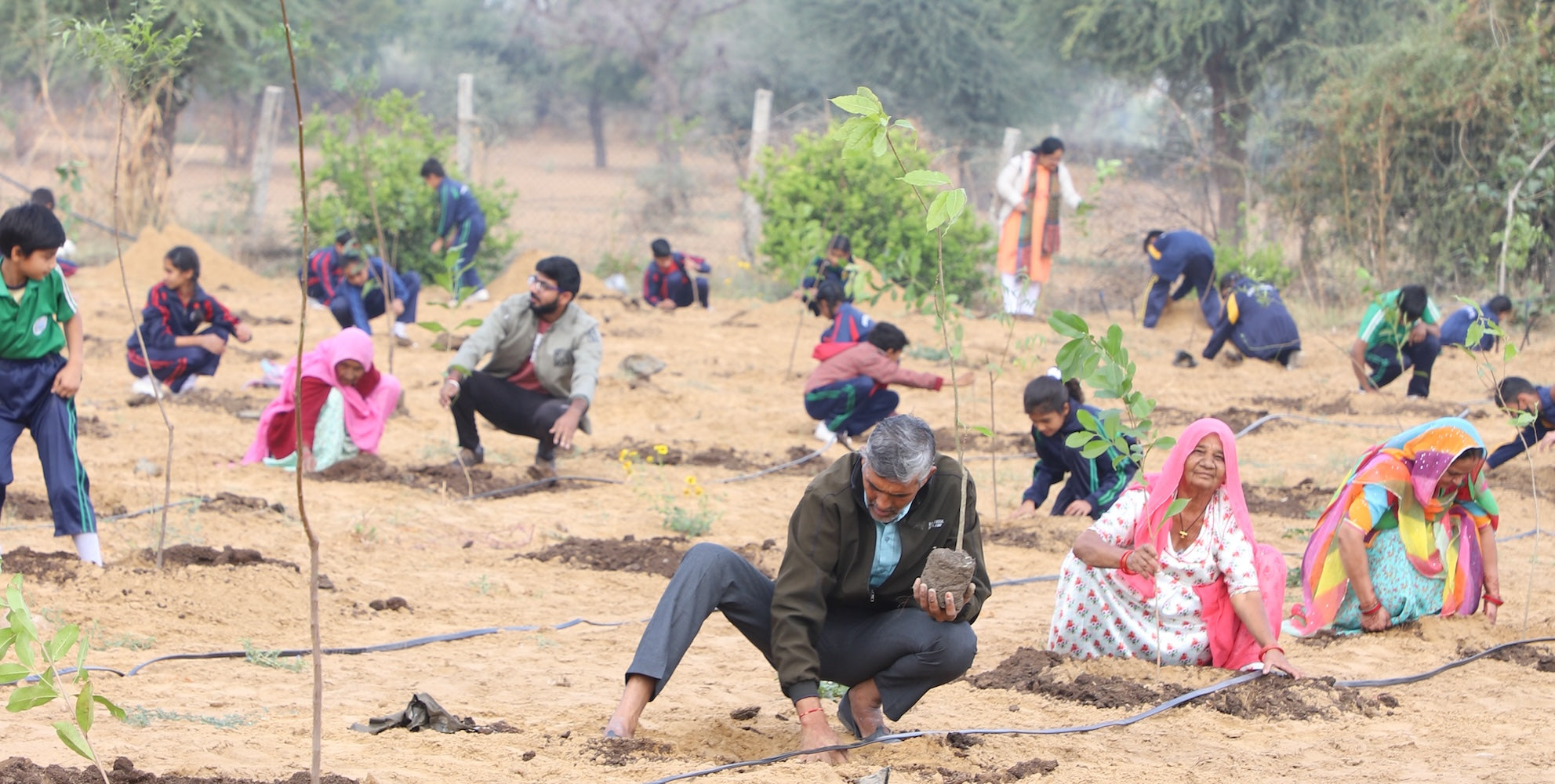 Grow Billion Trees Foundation