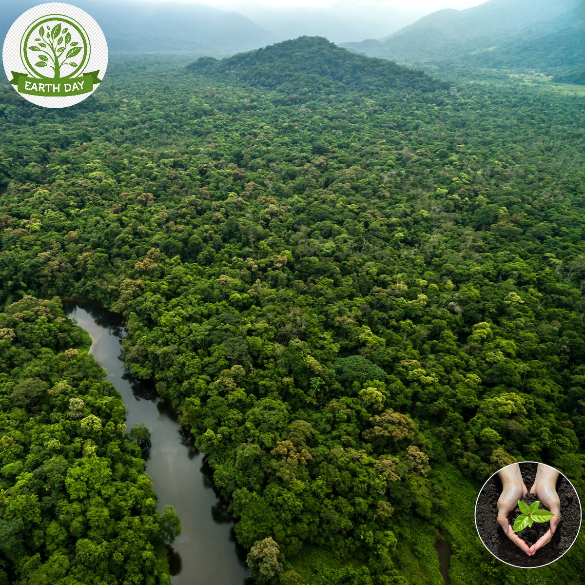 Trees for Earth Day (22nd Apr) – Grow Billion Trees Foundation