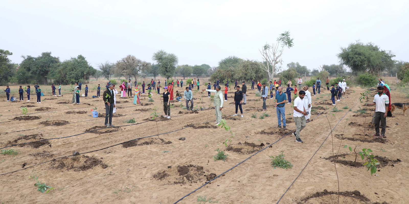 News – Grow Billion Trees Foundation